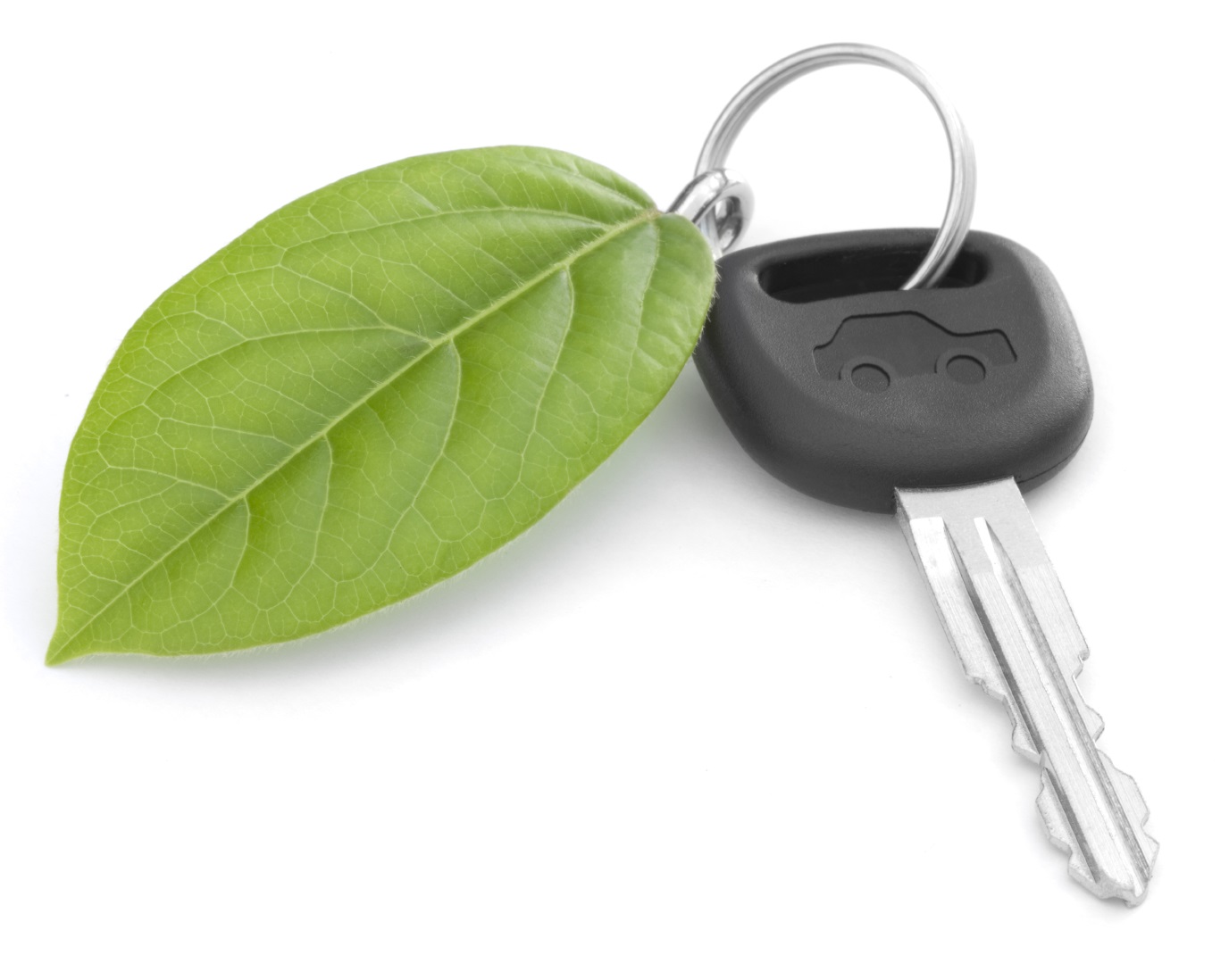 CARspec - Toyota, Lexus and Scion Specialist Green Repair